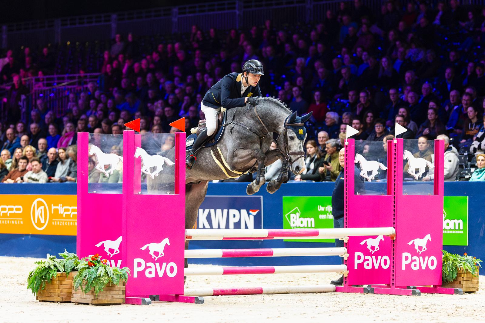 Romantico - Hengstenhouderij Brouwers